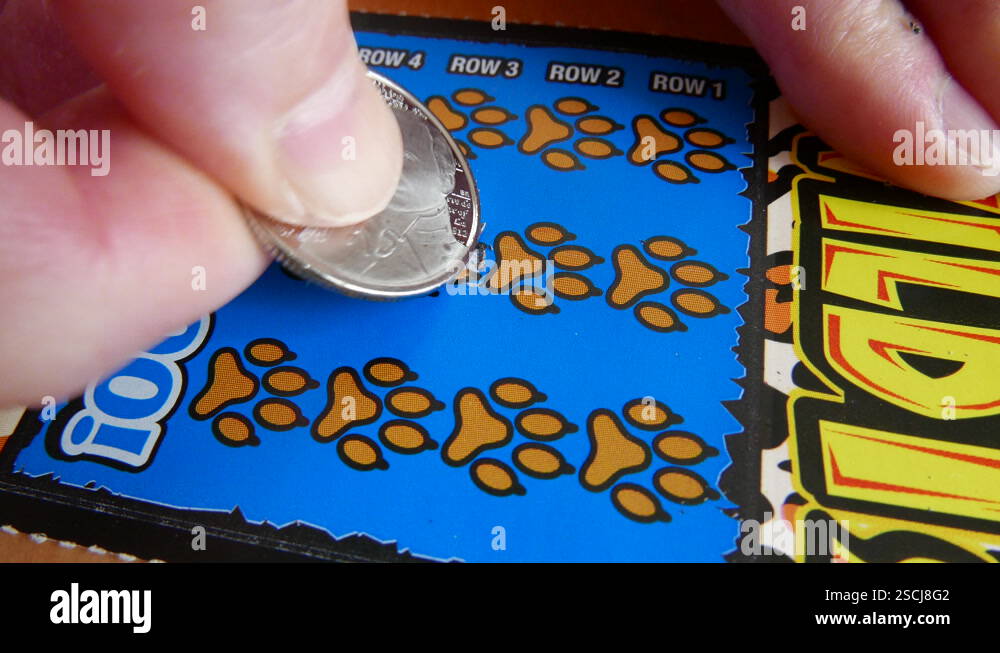 Motion of woman scratching lottery ticket with 4k resolution Stock ...
