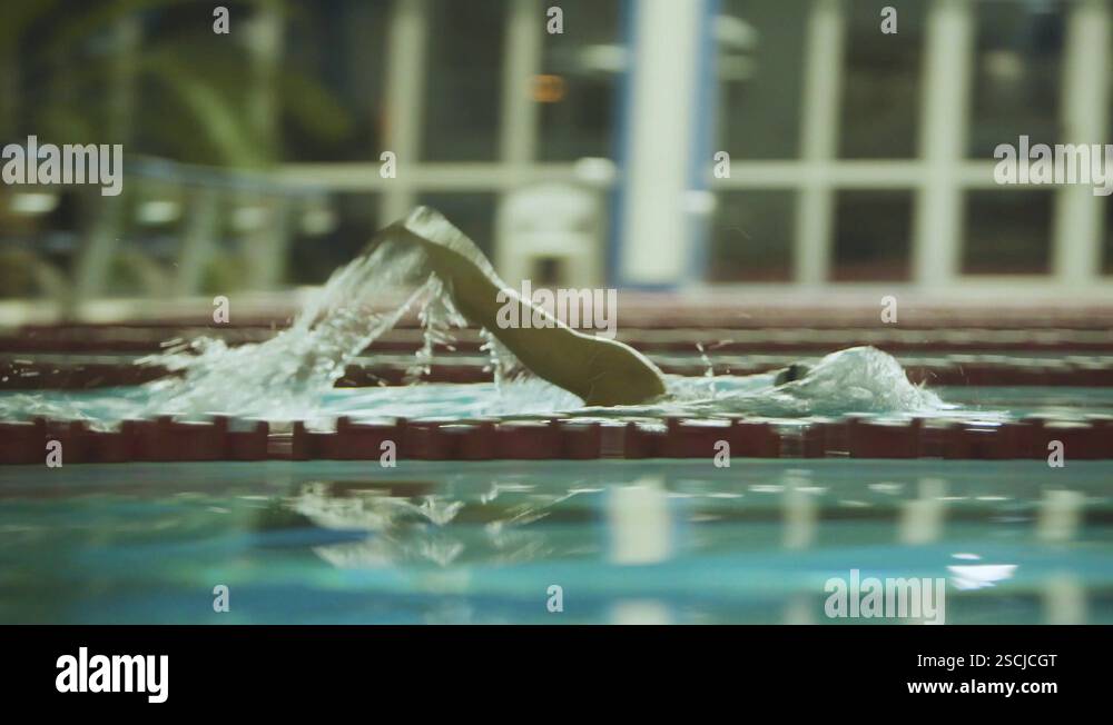 Slim fit professional woman swimmer training at the swimming pool Stock ...