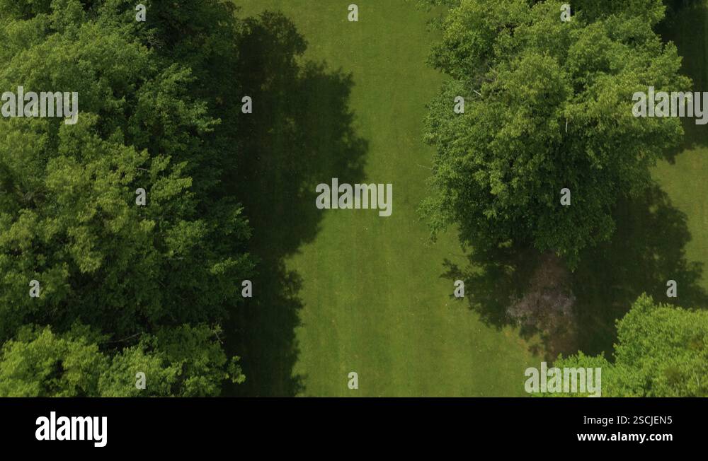 Landscaped lawn lined with tall trees leading to stately home, drone ...