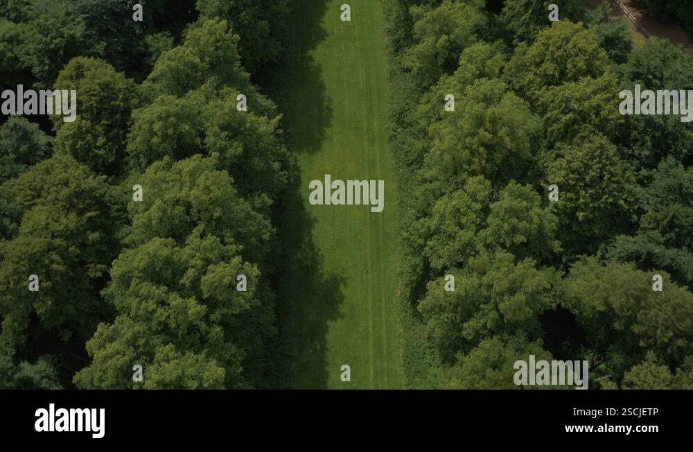 Long green lawn lined by large trees reveals large stately home, drone ...
