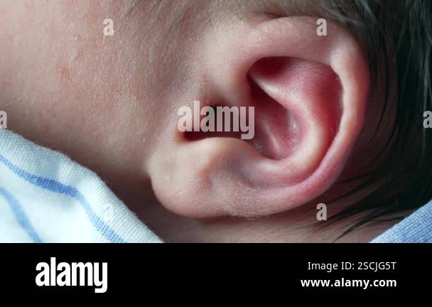 Close-up of a newborn baby's ear, wrapped in a blue and white striped ...