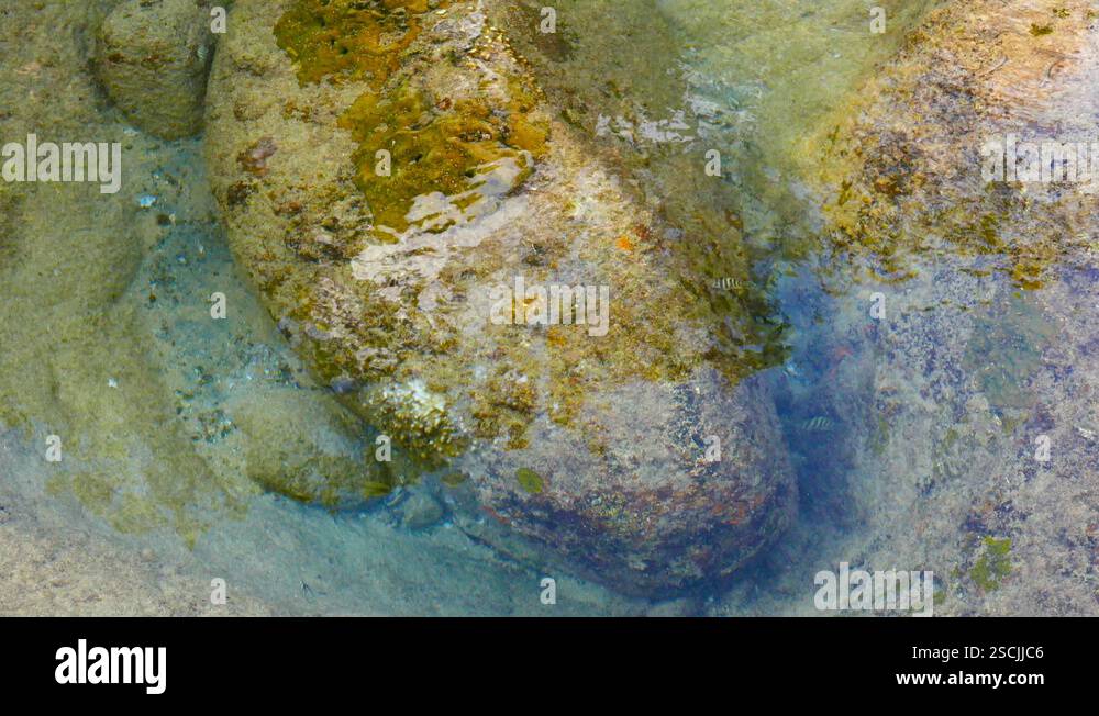 Natural basin Stock Videos & Footage - HD and 4K Video Clips - Alamy