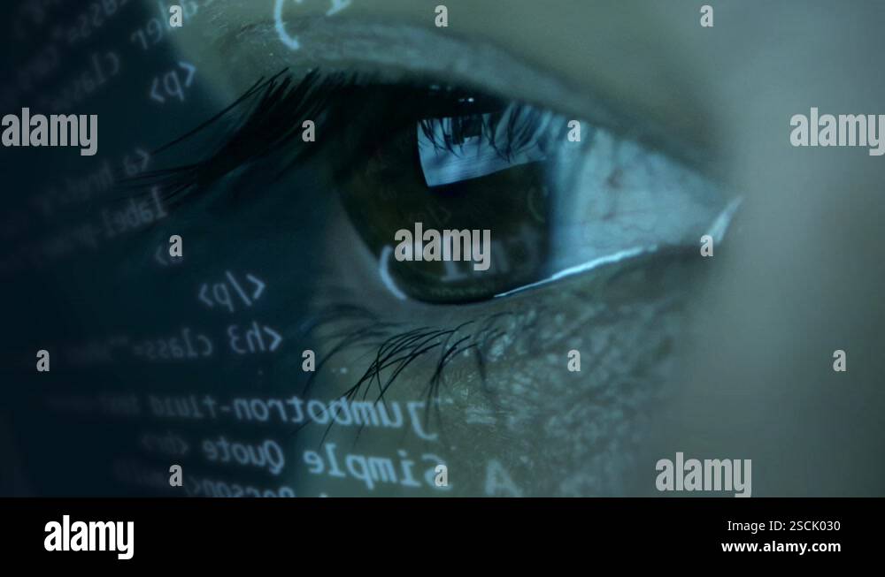 Learn to code with python Stock Videos & Footage - HD and 4K Video ...