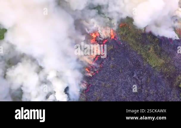Wildfires are burning grasslands and forests, creating a lot of smoke ...