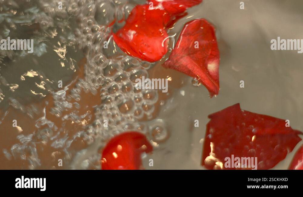 Rose petals floating in water of romantic bathroom. Jacuzzi bath rose ...