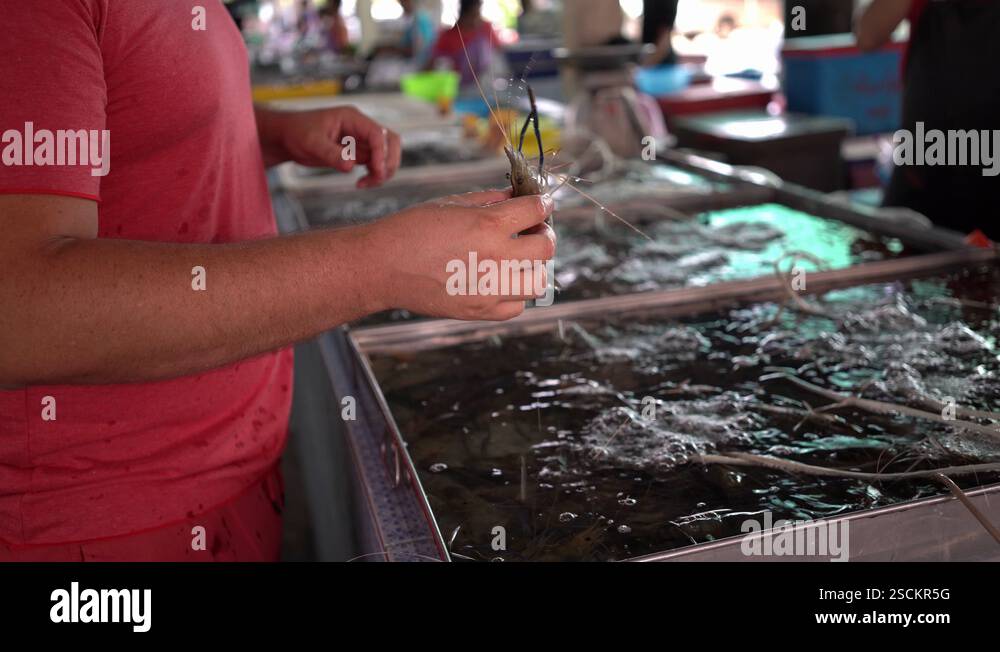 man chooses fresh shrimp on the market. male surprised big shrimp Stock ...