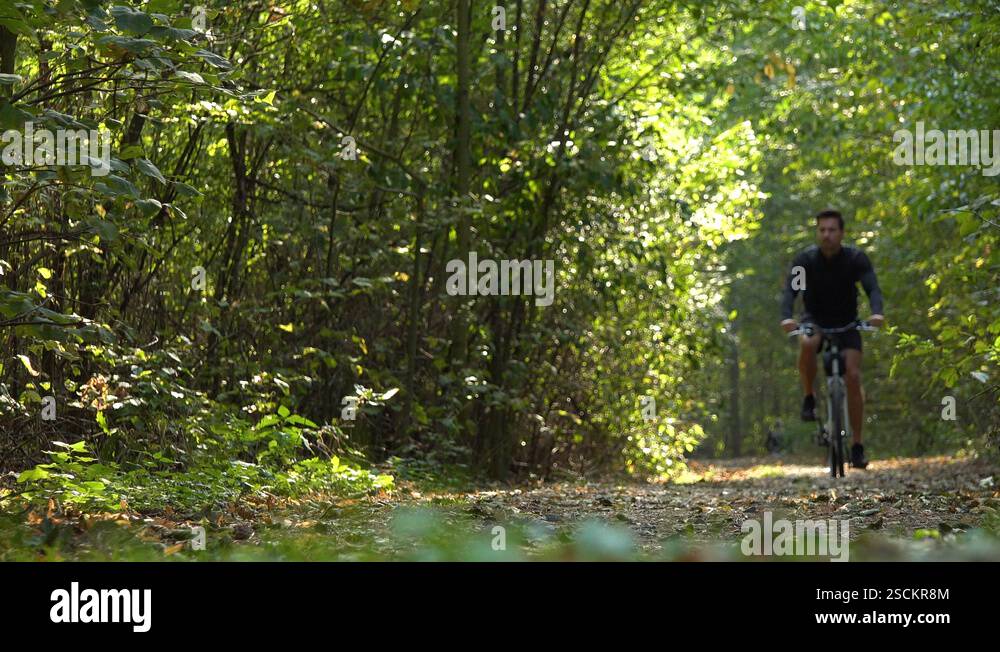 A cyclist rides down a path through a forest - front view from ground ...