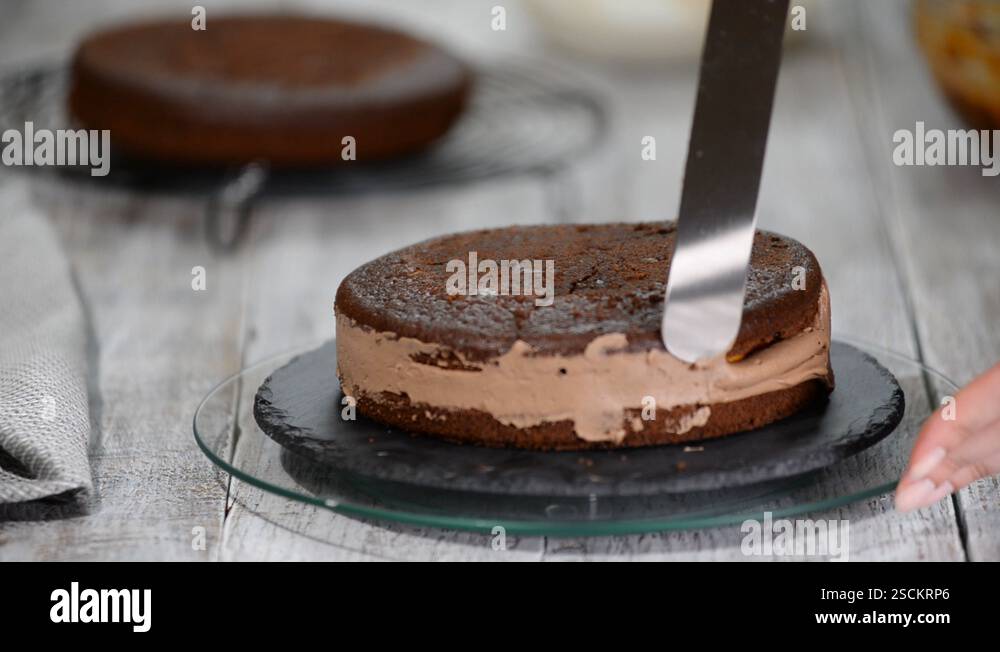 Process of cooking chocolate sponge cake. Step by step assembly ...