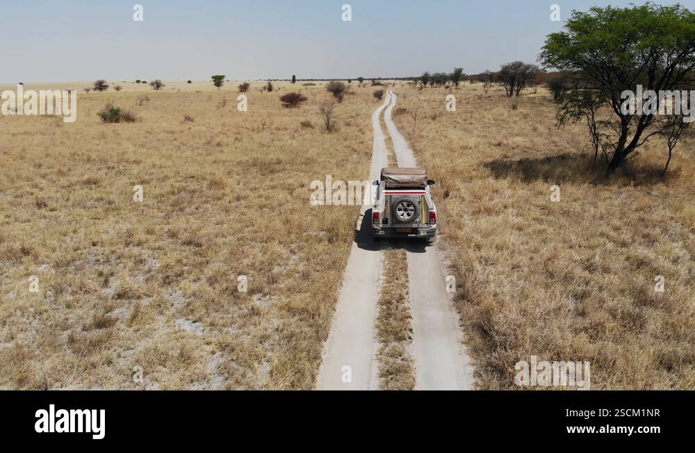 4x4 offroad vehicle driving through wild savannah of Botswana Kalahari ...