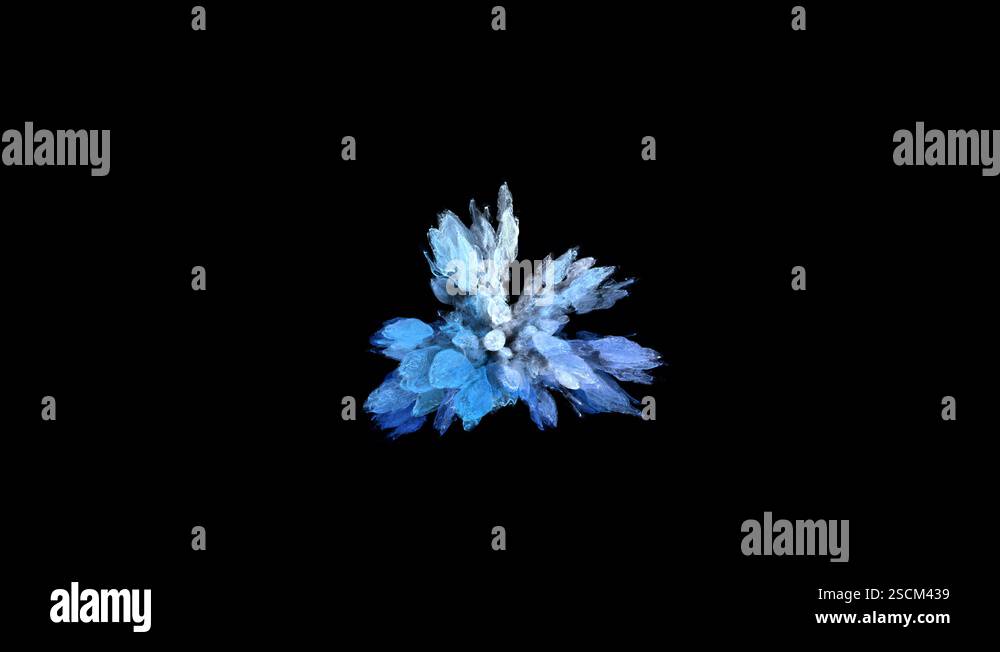 White Blue Color Burst - colorful smoke explosion fluid particles alpha ...