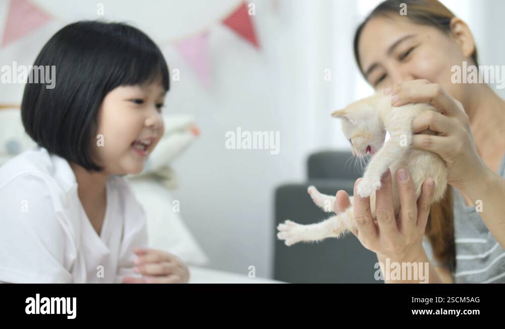 4K Lovely little Asian girl and mother playing with tabby kitten, 60fps ...