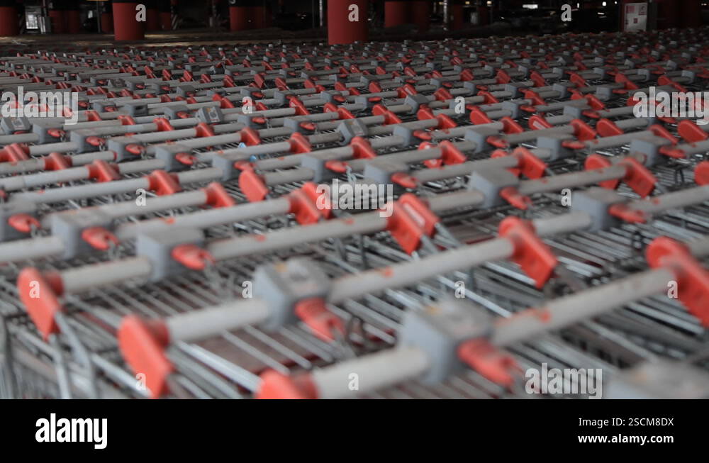 food carts stand in large rows in the supermarket due to empty stores ...