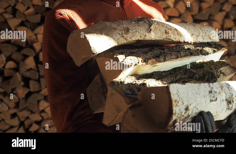 Man carrying firewood logs for heat in winter. Pile of chopped fire ...