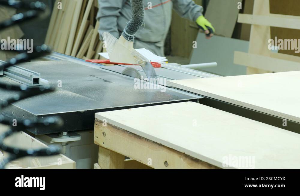 Circular saw in action, carpenter cutting out sheets of plywood ...