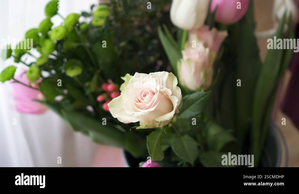 Female florist pruning flower stalk, close up Stock Video Footage - Alamy