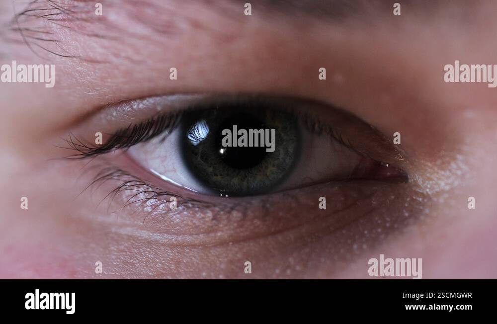 Close up view of open green with contact lens looking around. Vision ...