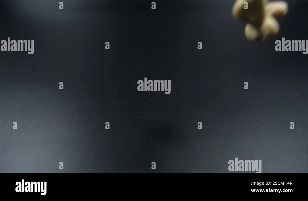 Cashew nuts falling in slow motion on black background Stock Video ...