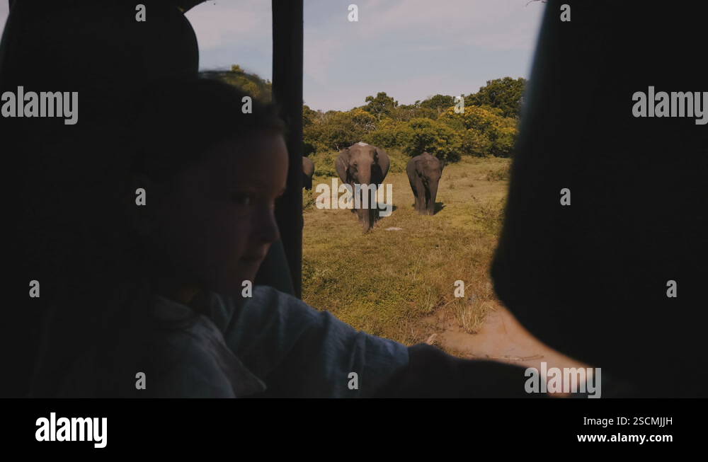 Happy little tourist girl child watching elephant family from inside ...