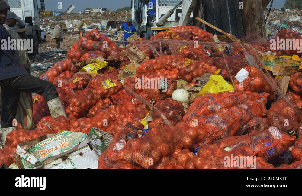 4K close-up view of poor people below the poverty line scavenging for ...