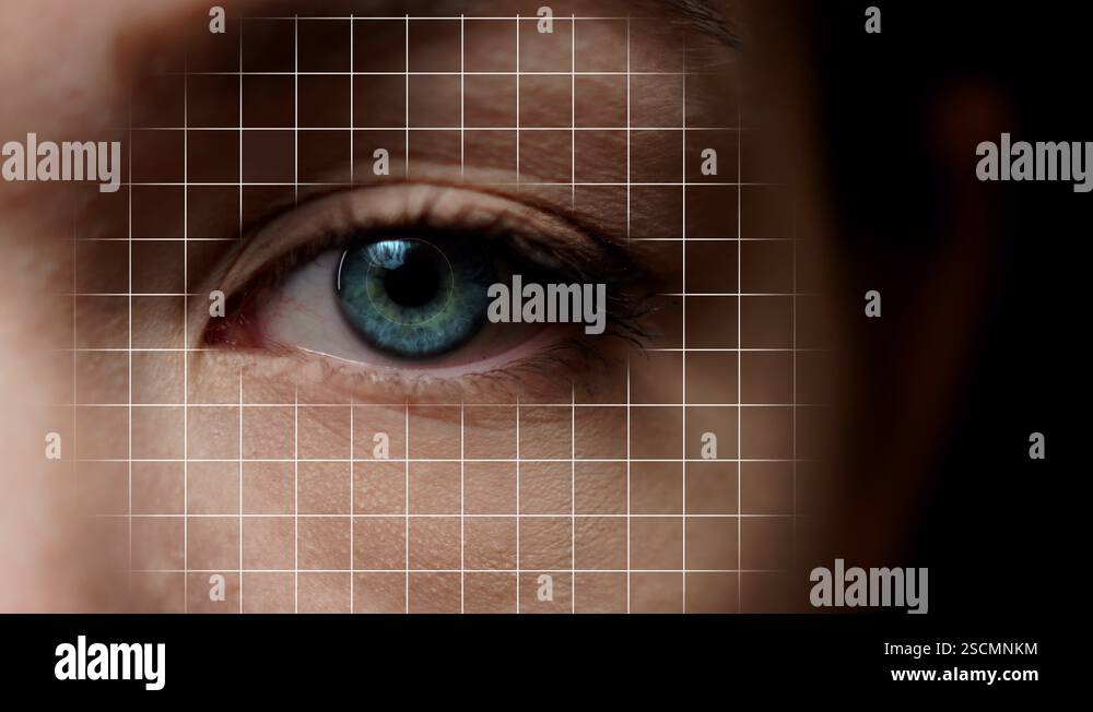 Half female face biometrical scan. Facial recognition. Blue eye Stock ...