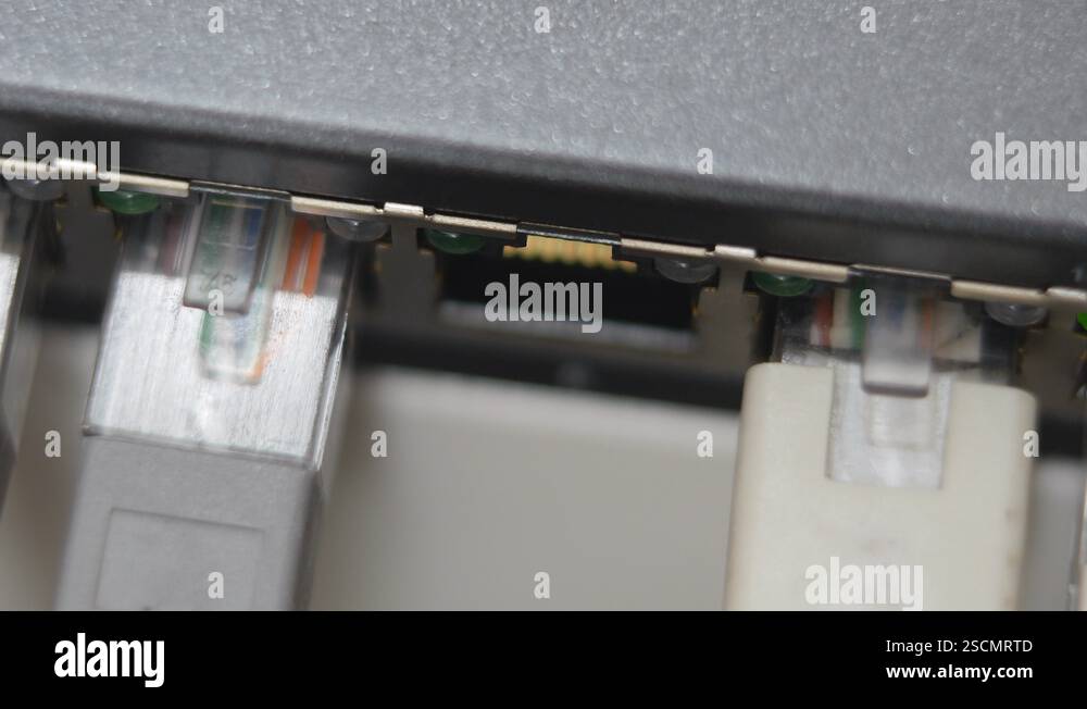 Male Hand Inserts The Blue Data Cable Into The Gigabit Network Switch ...