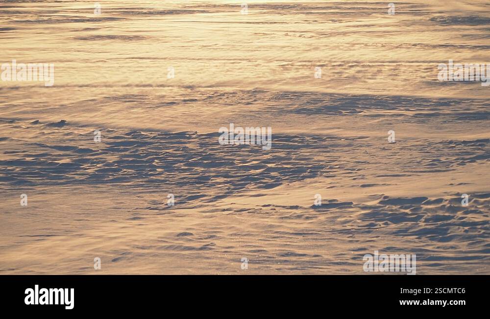 Arctic landscape - bllizzard and extreme cold temperature. Snow ...
