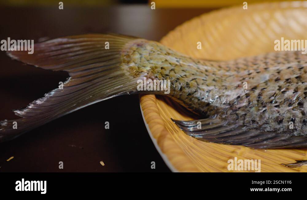 CU PAN Fish on tray Stock Video Footage - Alamy
