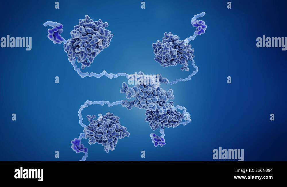 Protein enzyme molecular model Stock Videos & Footage - HD and 4K Video ...