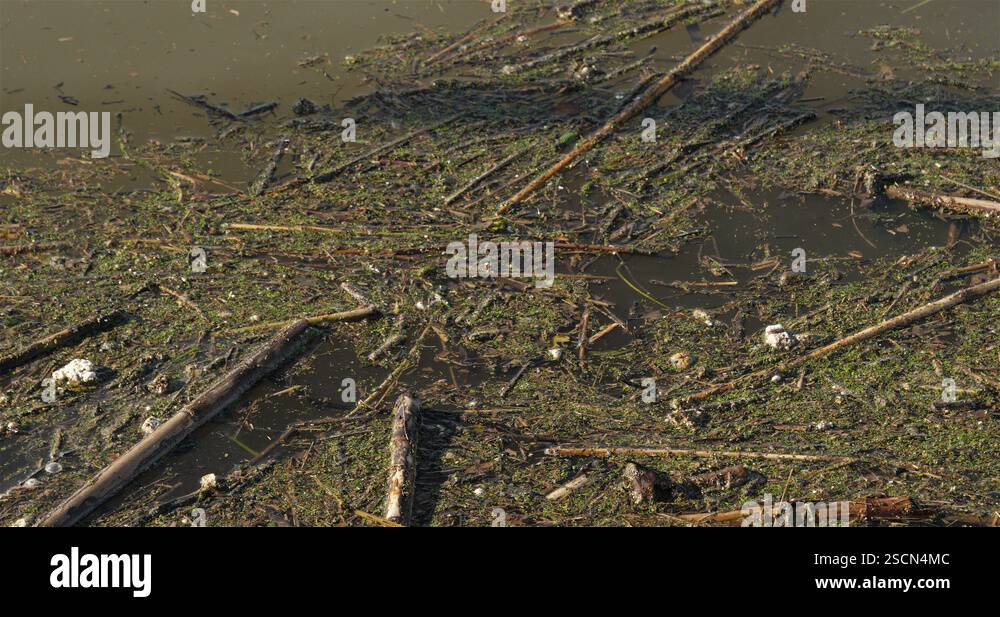 Polluted water surface Stock Video Footage - Alamy