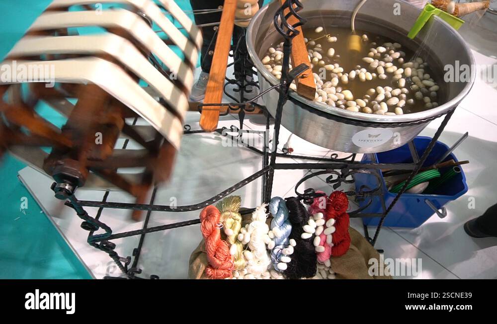 Silkworm Cocoon On Silk Mill. Silk-Reeling Establishment Stock Video ...