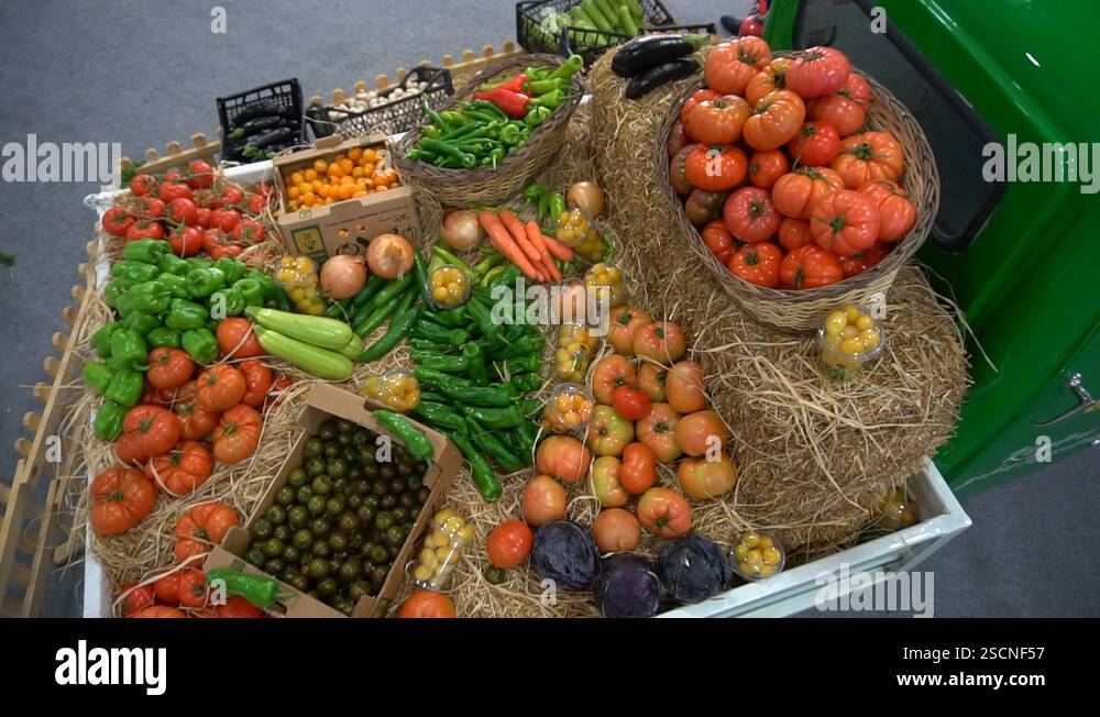 Vegetable Market. Woman Selling Fresh Vegetables At Market Stock Video ...