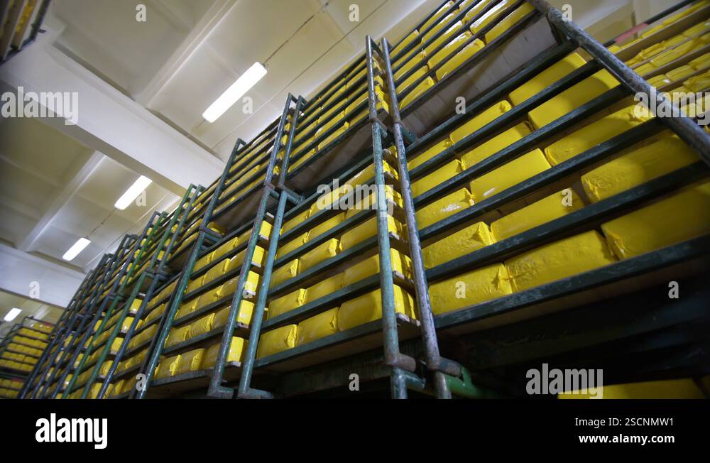 Cheese storage at food factory. Dairy factory warehouse. Cheese rounds ...