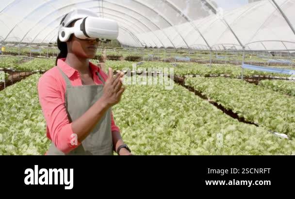 Using VR headset, african american woman managing hydroponic farm in ...