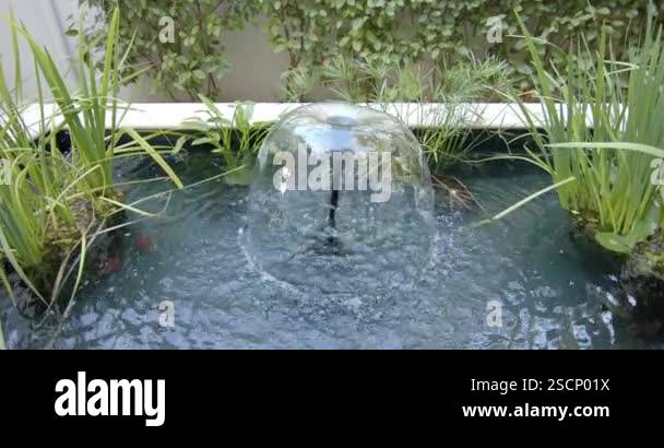 Water bubbling over smooth, reflective sphere in a garden pond. Green ...