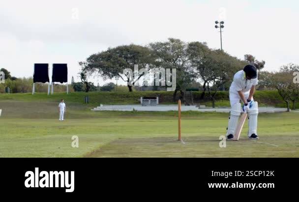 Two teams of multiracial male cricket players and male umpire playing ...