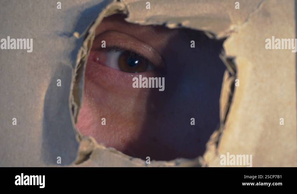 curious human eye looks into the hole .hole in the cardboard wall Stock ...