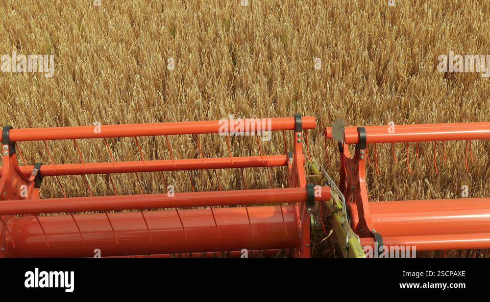 Combine Harvester. Reaper. Agment. Combine Harvester Close Up. Detail ...