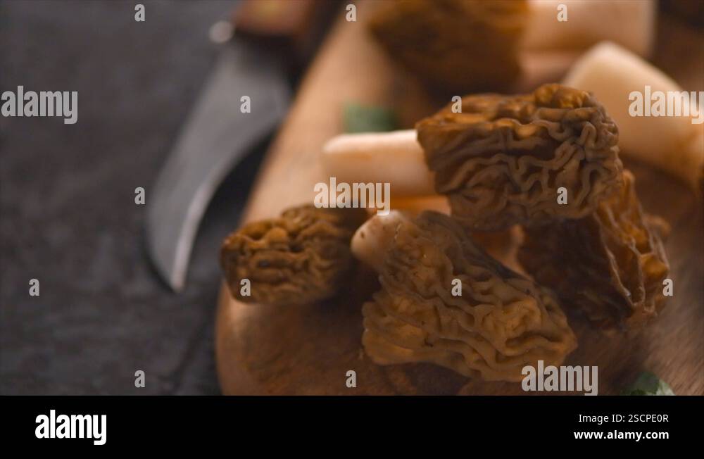 Cooking of morel mushrooms. Edible delicious mushroom, early spring ...