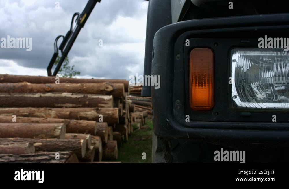 Modern logger working in sawmill. Powerful tree logger lifting logs ...