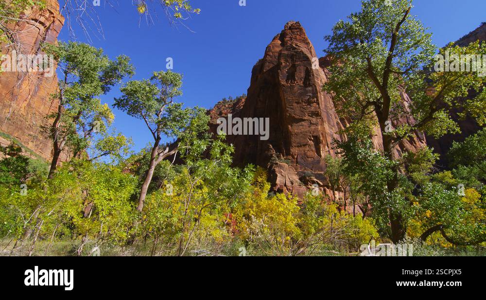 Fall colors by Temple of Sinawava, Zion National Park, southwest Utah ...