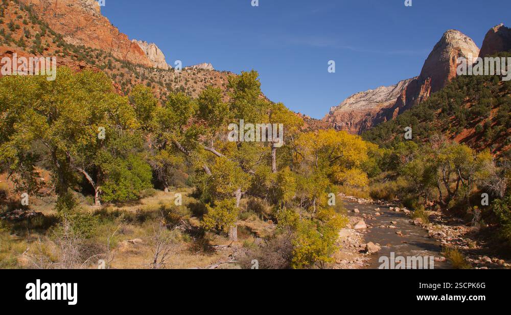 Virgin river and fall trees, Zion National Park, southwest Utah nature ...