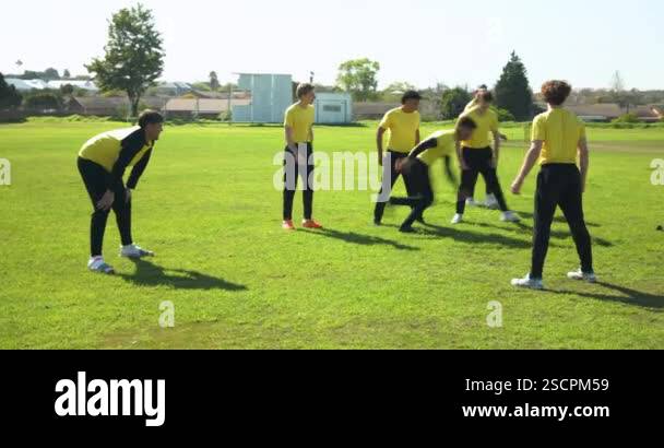 Team of multiracial male cricket players practicing cricket on pitch ...