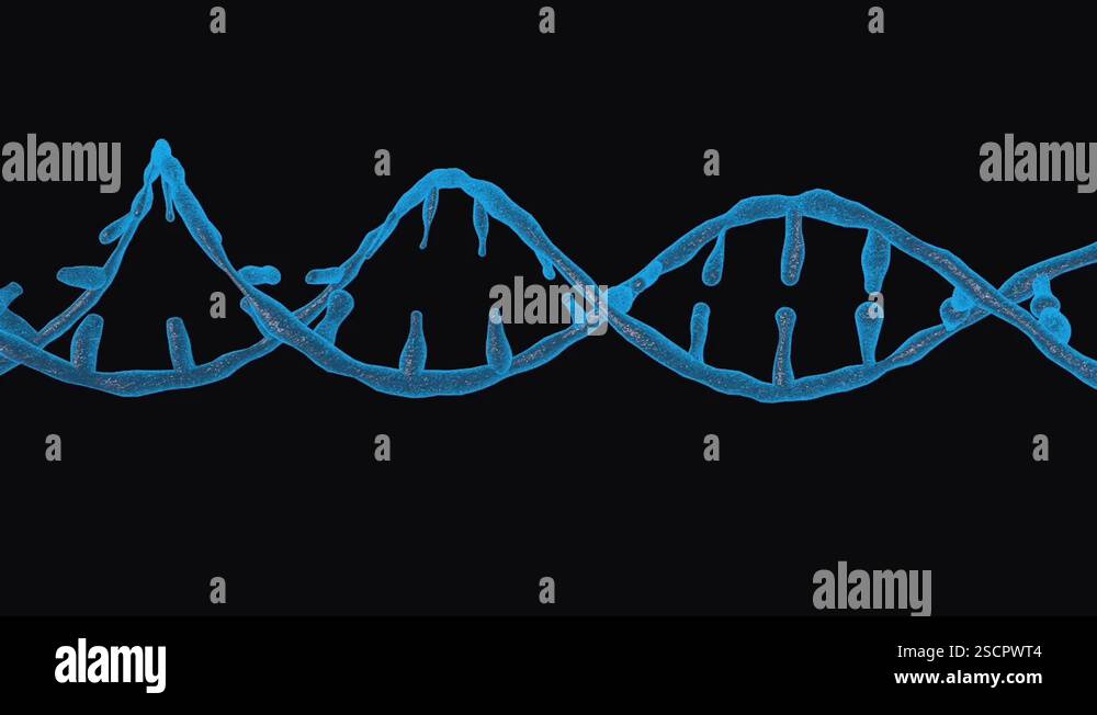 nimation rotating DNA , Genetics concept Stock Video Footage - Alamy