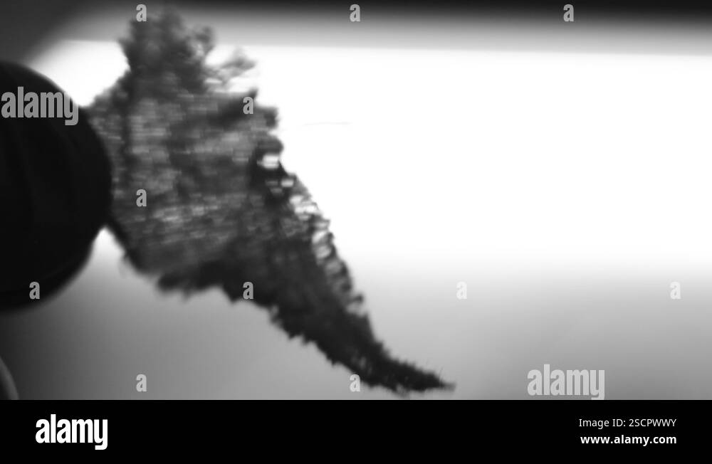 Holding small piece of cloth as forensic evidence Stock Video Footage ...