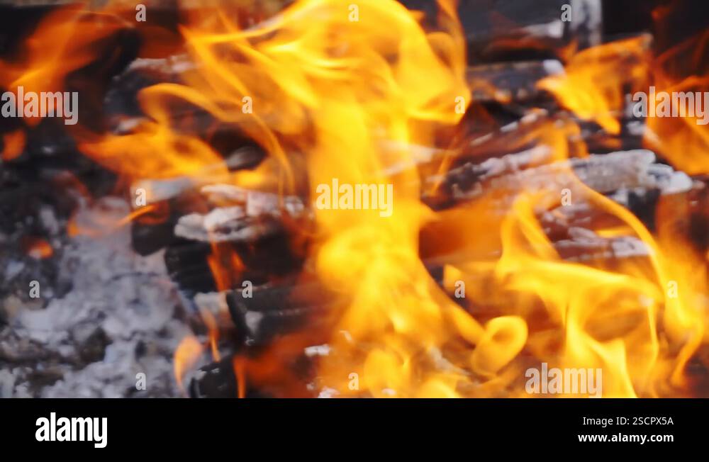 bonfire in the hearth.fire wood, which burns with a bright flame Stock ...