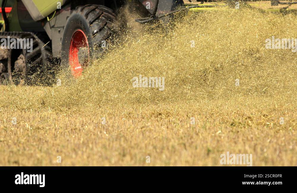 The Combine Runs At Harvest Time. Fall To The Ground Grain Waste After ...