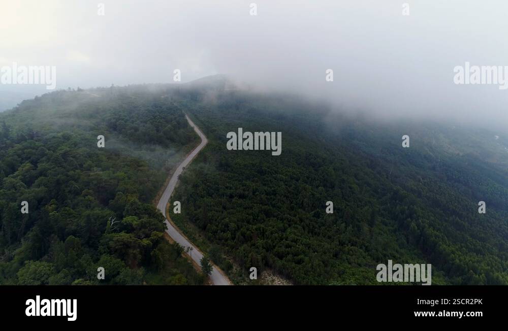 Aerial view above forest near Bussaco palace Stock Video Footage - Alamy