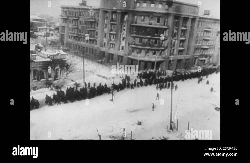 Nazi German Prisoners of War Guided Through Stalingrad After Defeat ...