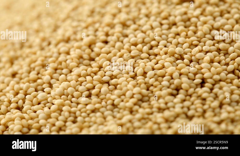 Heap of raw, uncooked amaranth seeds rotating close up full frame view ...