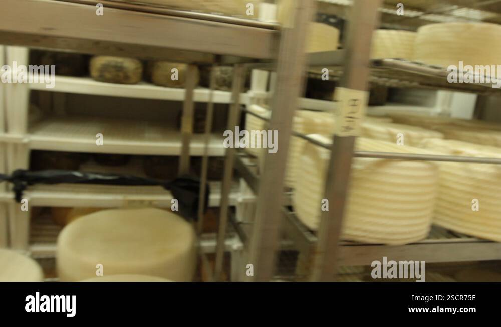 Blue cheese gouda Factory food process parmesan swiss dairy feta france ...